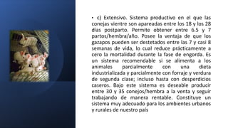 alimentación de conejos basada en dietas | PPTX
