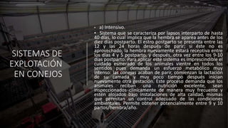alimentación de conejos basada en dietas | PPTX
