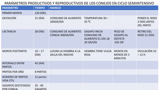 alimentación de conejos basada en dietas | PPTX