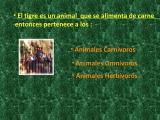 Alimentación y hábitat de los animales (1) | PPT