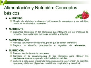 Alimentación y Nutrición I | PPS