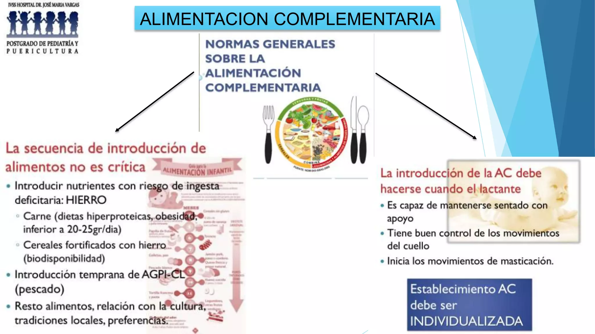 ALIMENTACION COMPLEMENTARIA.pptx