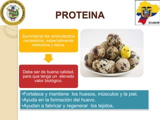 Alimentacion de codorniz | PPTX
