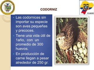 Alimentacion de codorniz | PPTX