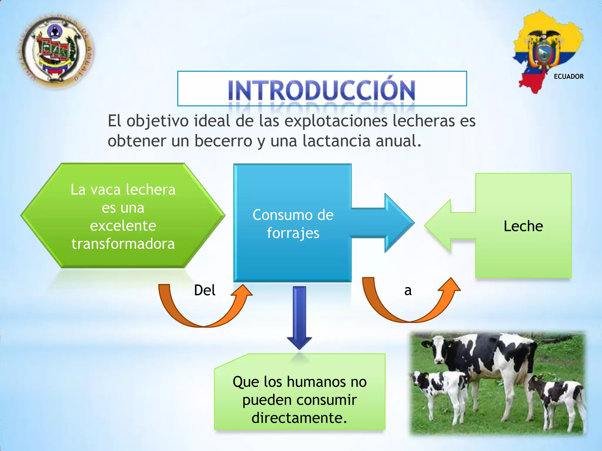 Alimentacion En Bovinos De Leche Pptx