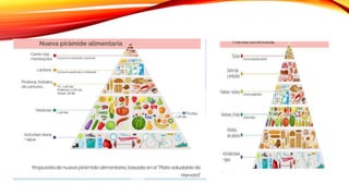 ALIMENTACION HUMANA.pptx