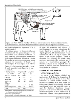 SISTEMA DIGESTIVO DE LA VACA | PDF