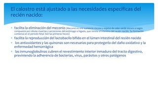 Alimentacion materna | PPTX