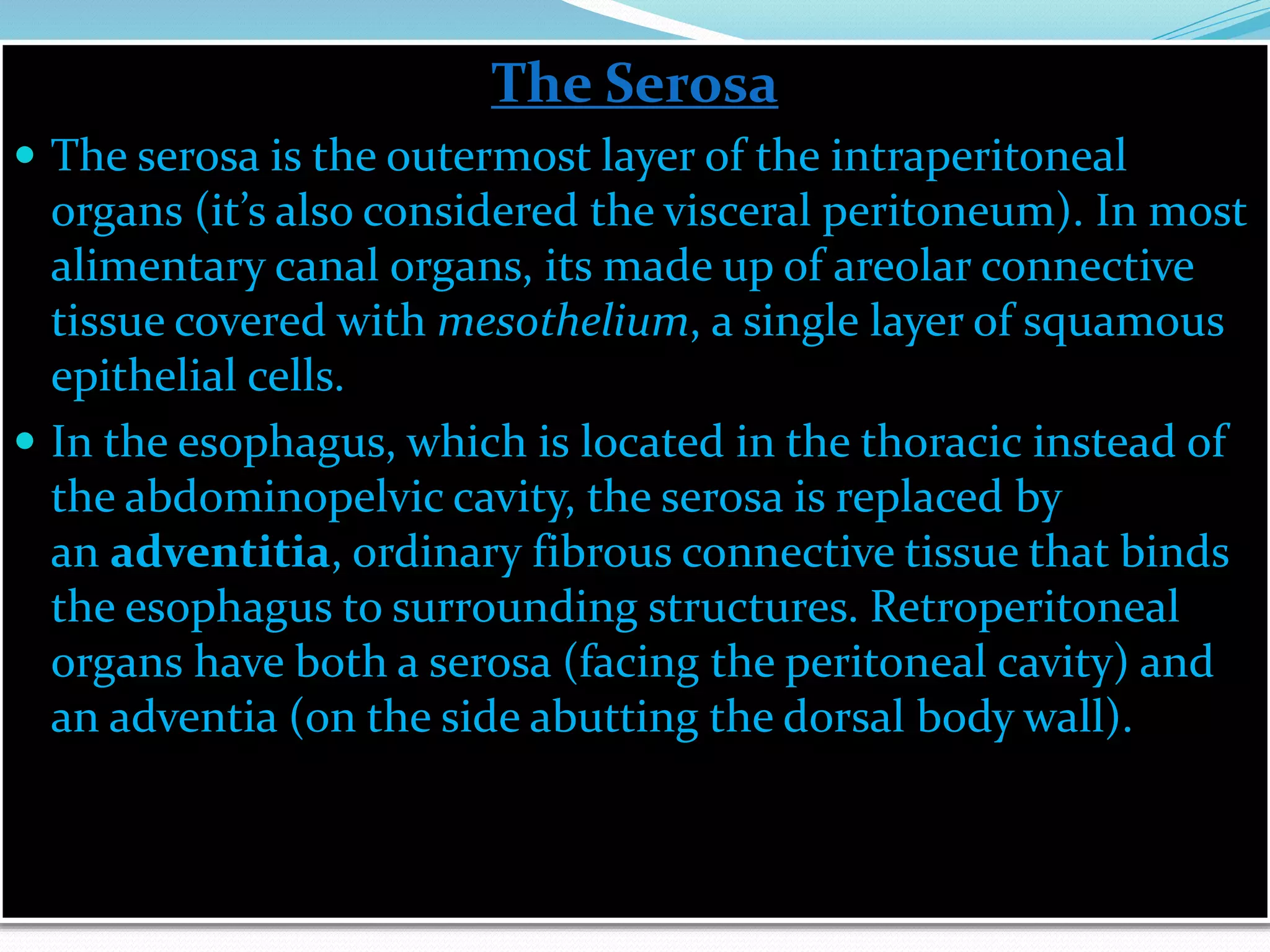 Alimentary canal | PPTX
