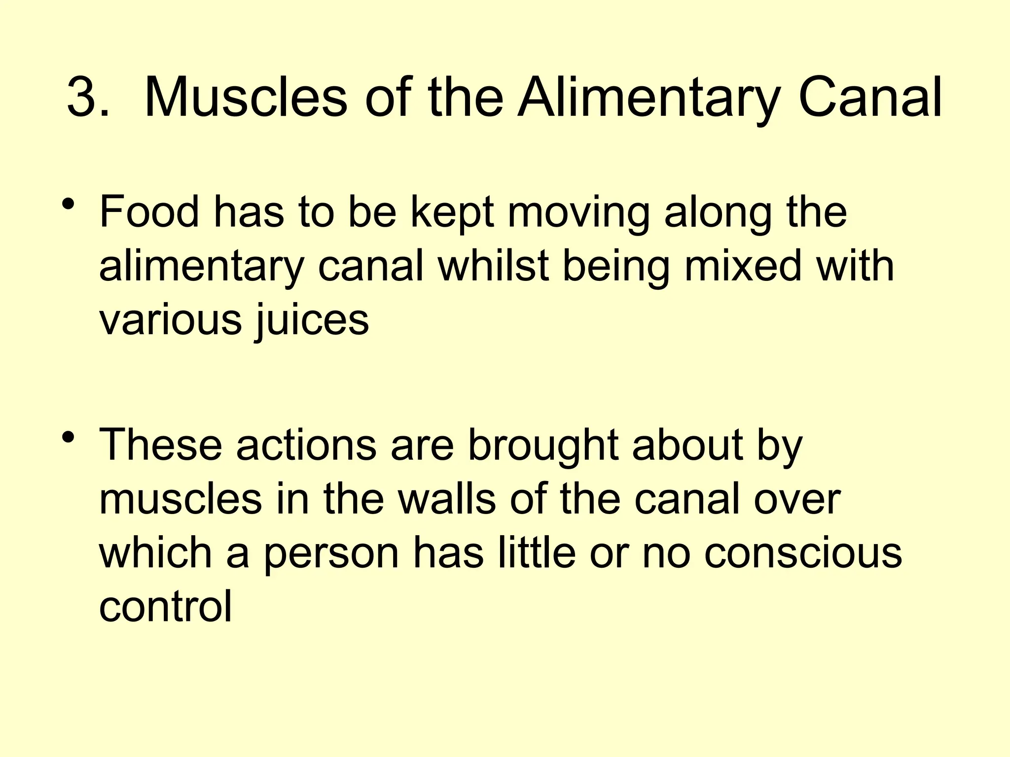 alimentary canal_ digestive system 3rd year.pptx