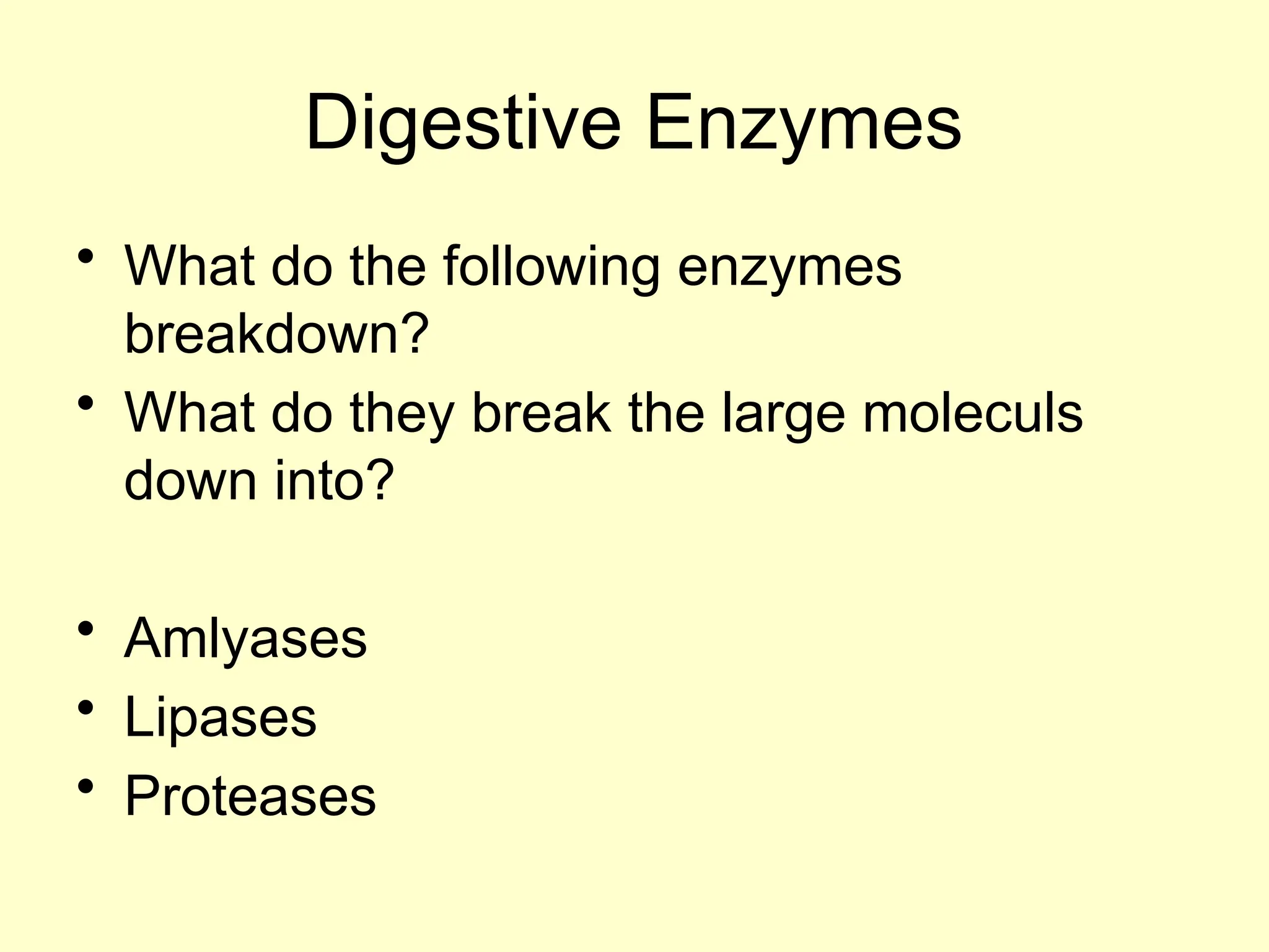 Alimentary Canal Digestive System 3rd Year Pptx