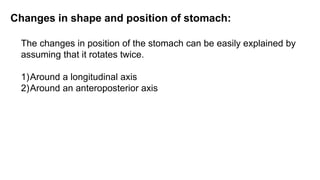 Alimentary system.pptx
