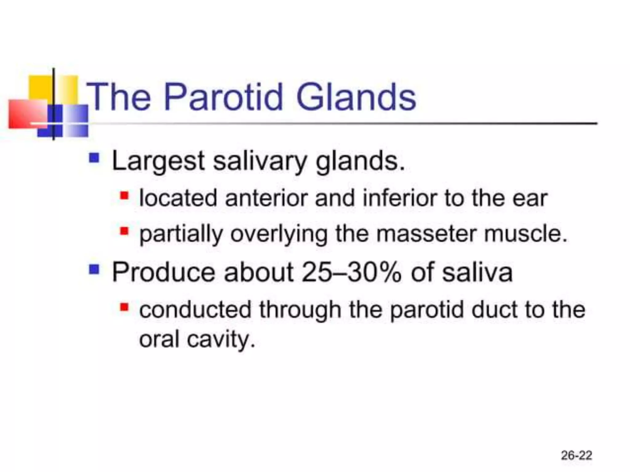 Alimentary system.pptx