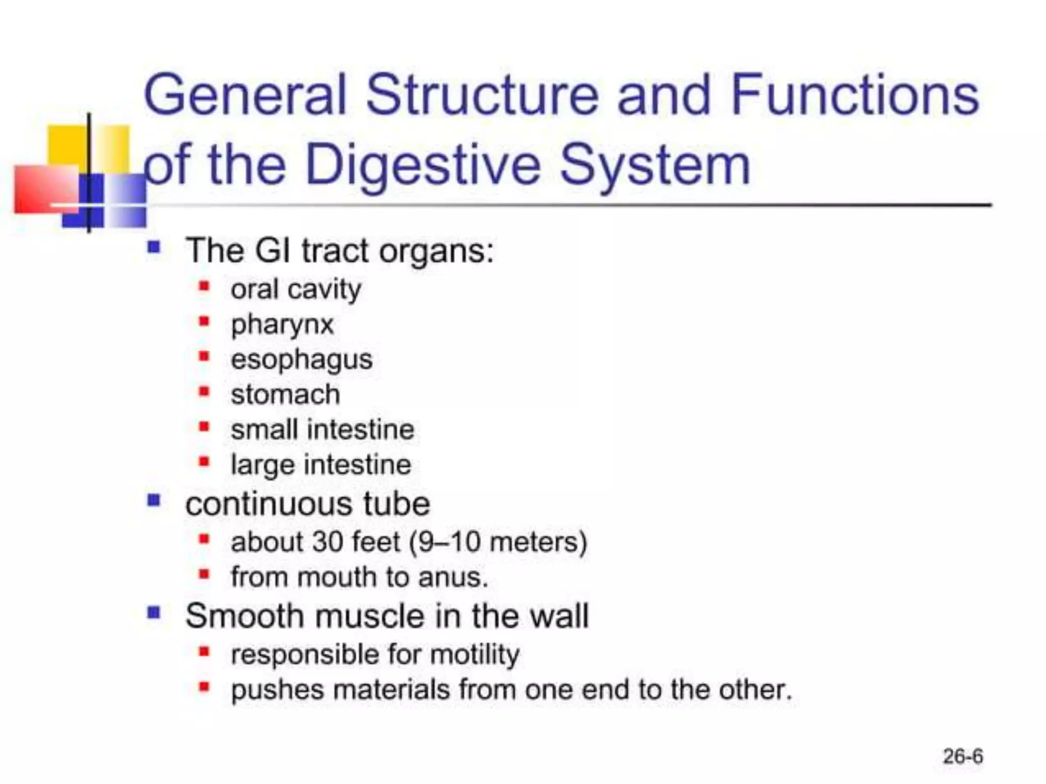 Alimentary system.pptx