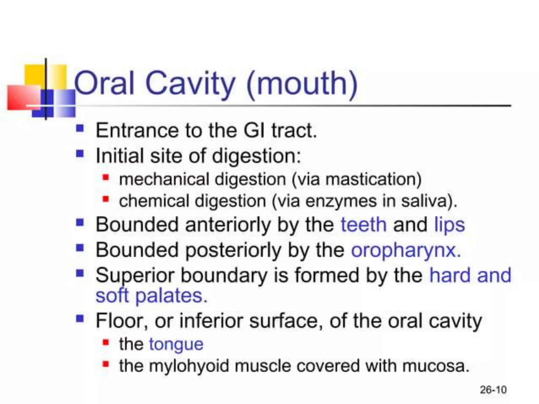 Alimentary system.pptx