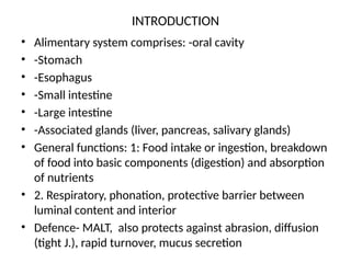 ALIMENTARY SYSTEM and its metabolic processess 1.pptx
