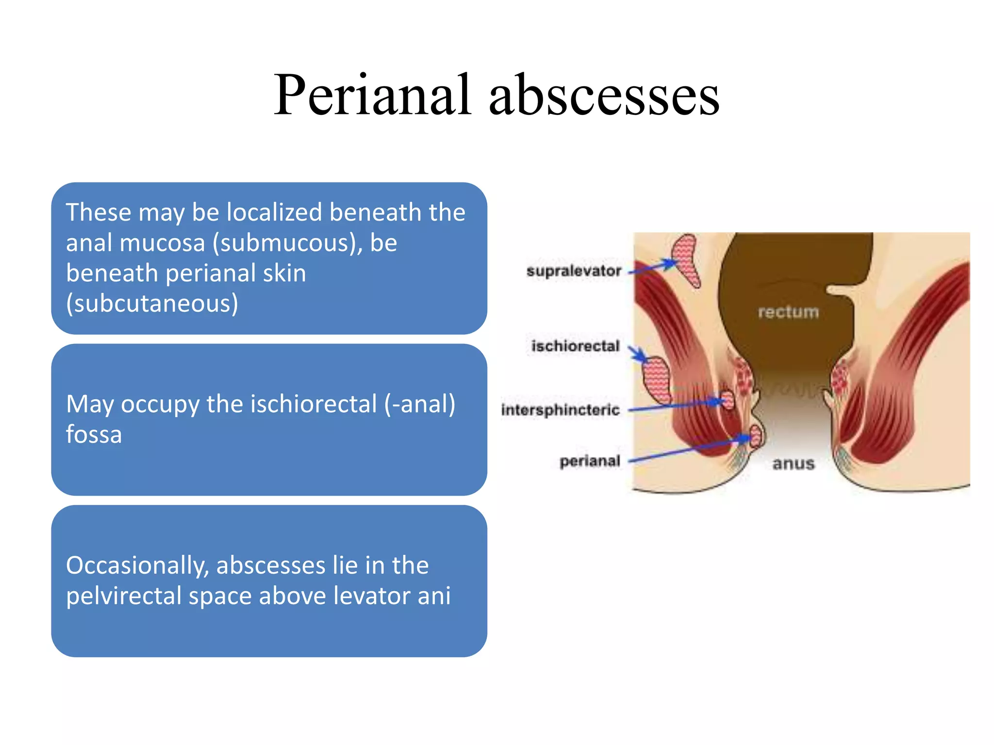 Alimentary tract (clinical anatomy) | PPT