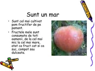 Alimentatiacorectasisanatoasa | PPT