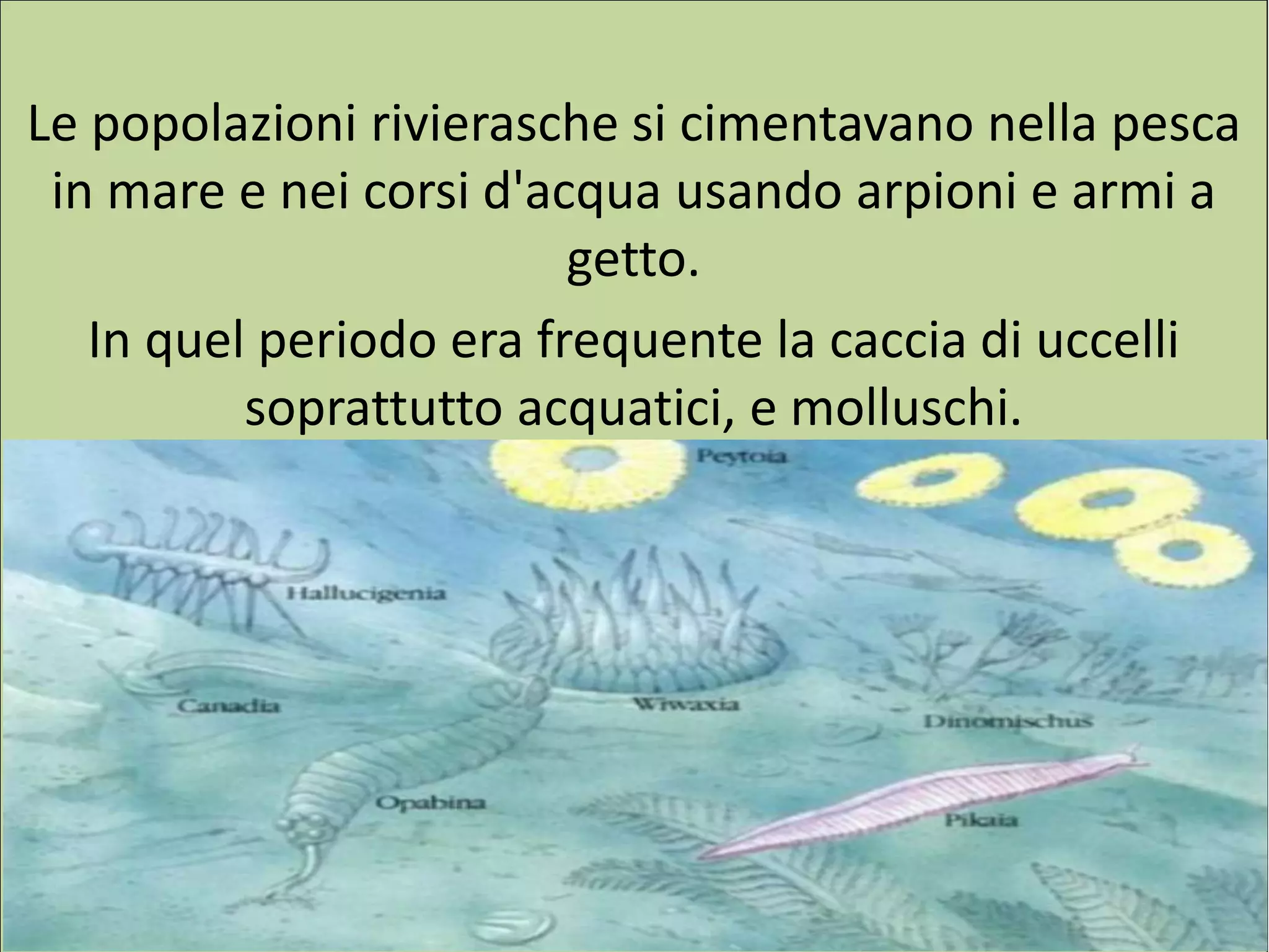ALIMENTAZIONE ROMANA, MEDIEVALE E PREISTORICA | PPTX