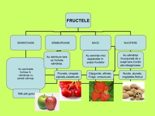 Alimente | PPT