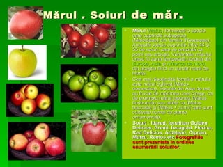 Alimentedeoriginevegetala | PPT