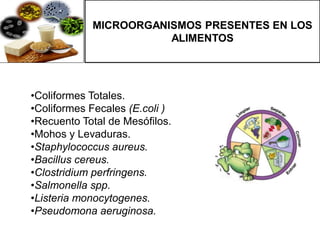 Alimentos | PDF