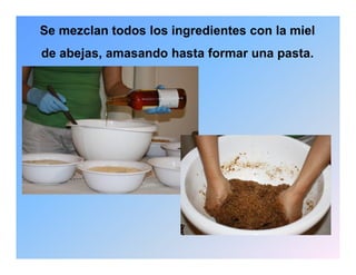 Alimento sampa y mochila de supervivencia | PDF