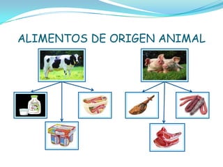 Alimentos de origen animal | PPTX