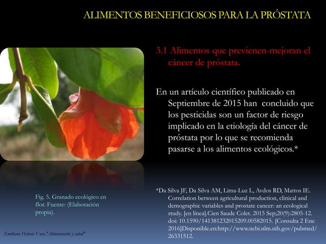 Influencia de la alimentación en la salud."Alimentos beneficiosos para ...