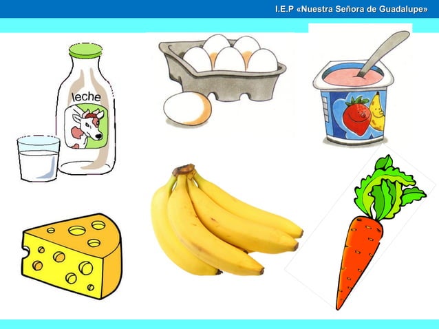 Alimentos nutritivos y no nutritivos | PPT