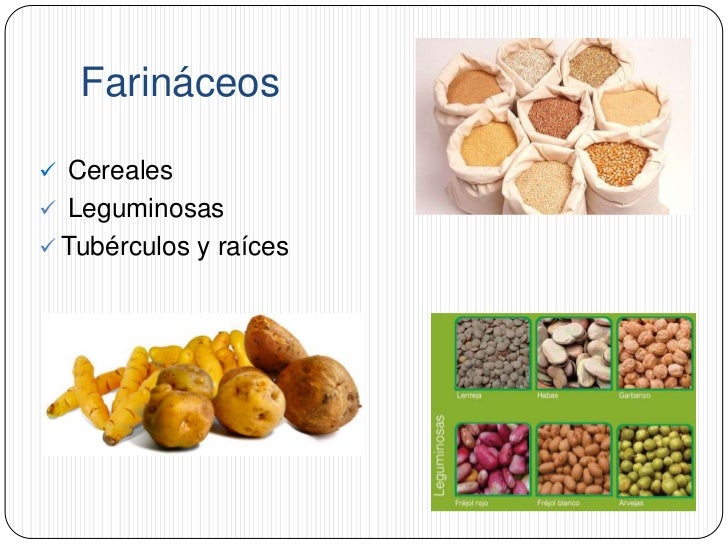 Alimentos