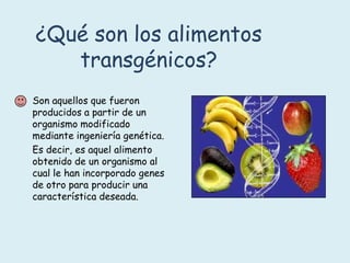 Alimentos transgénicos | PPTX