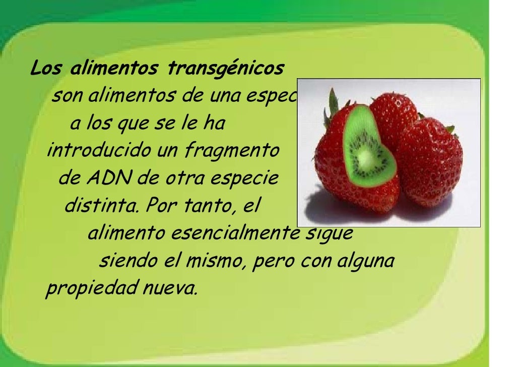 Alimentos transgénicos