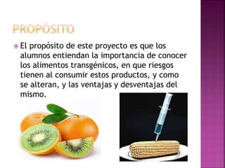 Alimentos transgénicos | PPTX | Genetics | Science