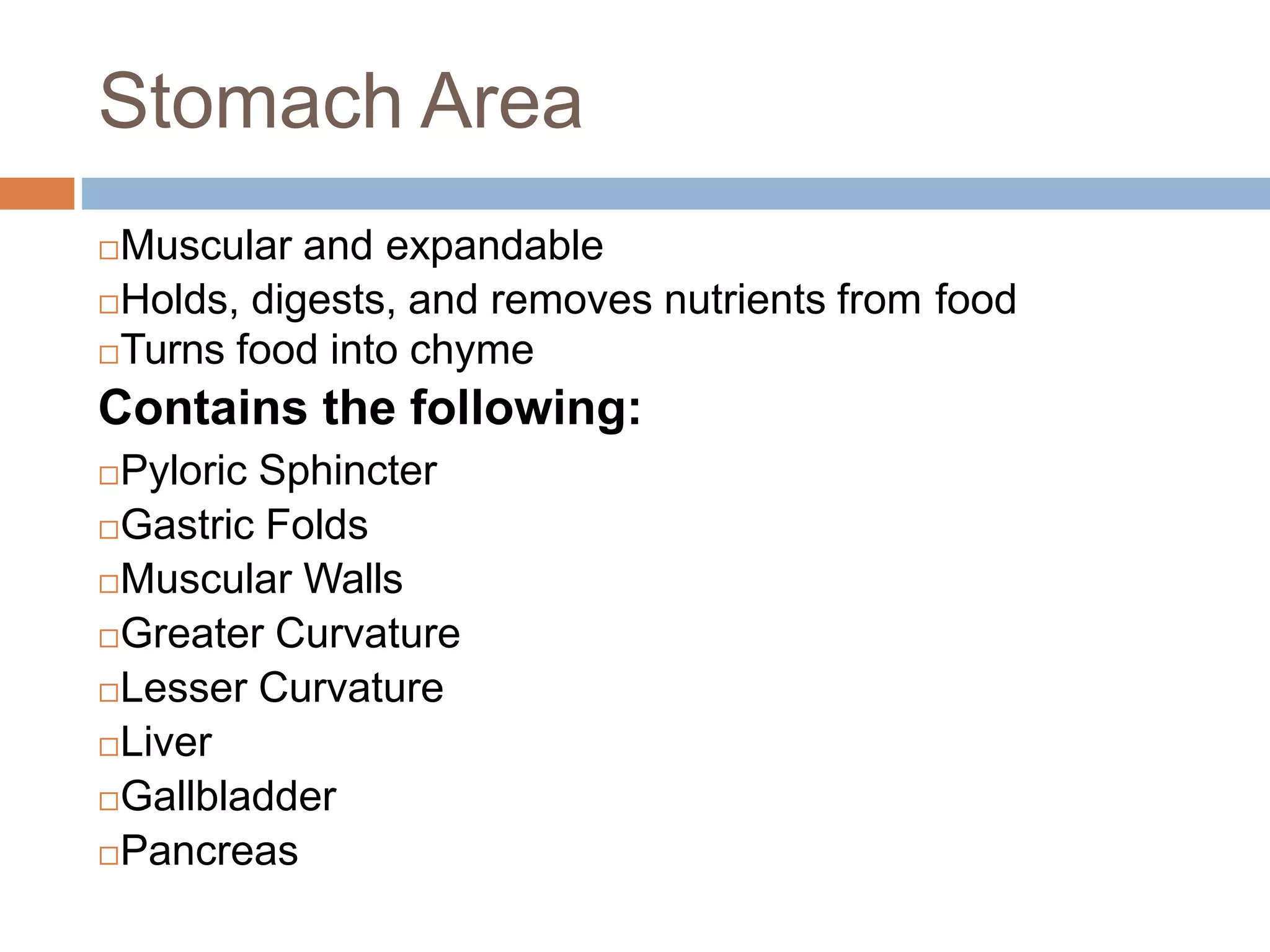 Alimentry system anatomy | PPTX