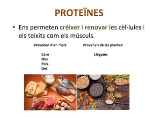 Els nutrients | PDF