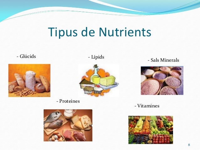 Aliments i nutrients