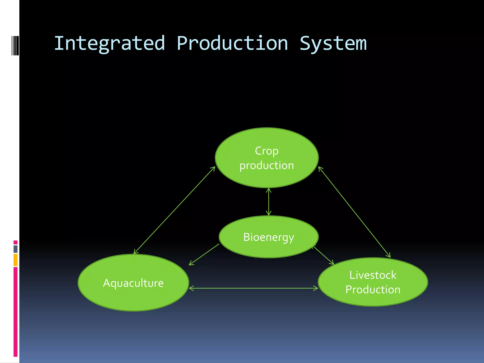 Alina Constantin GRUPA 8218 | PPT