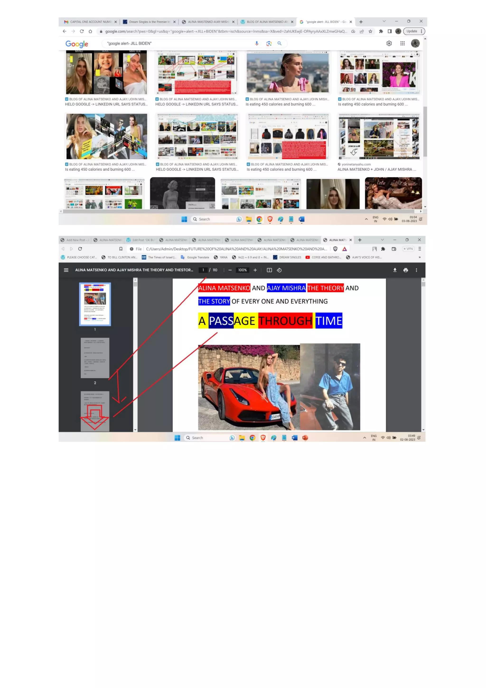 ALINA MATSENKO AND AJAY MISHRA FUTURE.pdf