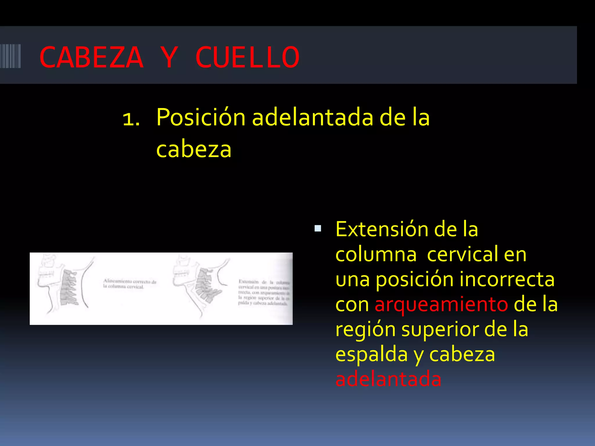 Alineación en plomada 2 | PPTX