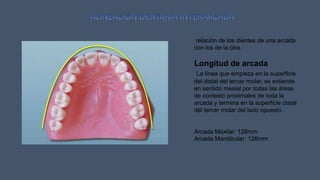 alineacion dental y oclusion dentaria .ppt