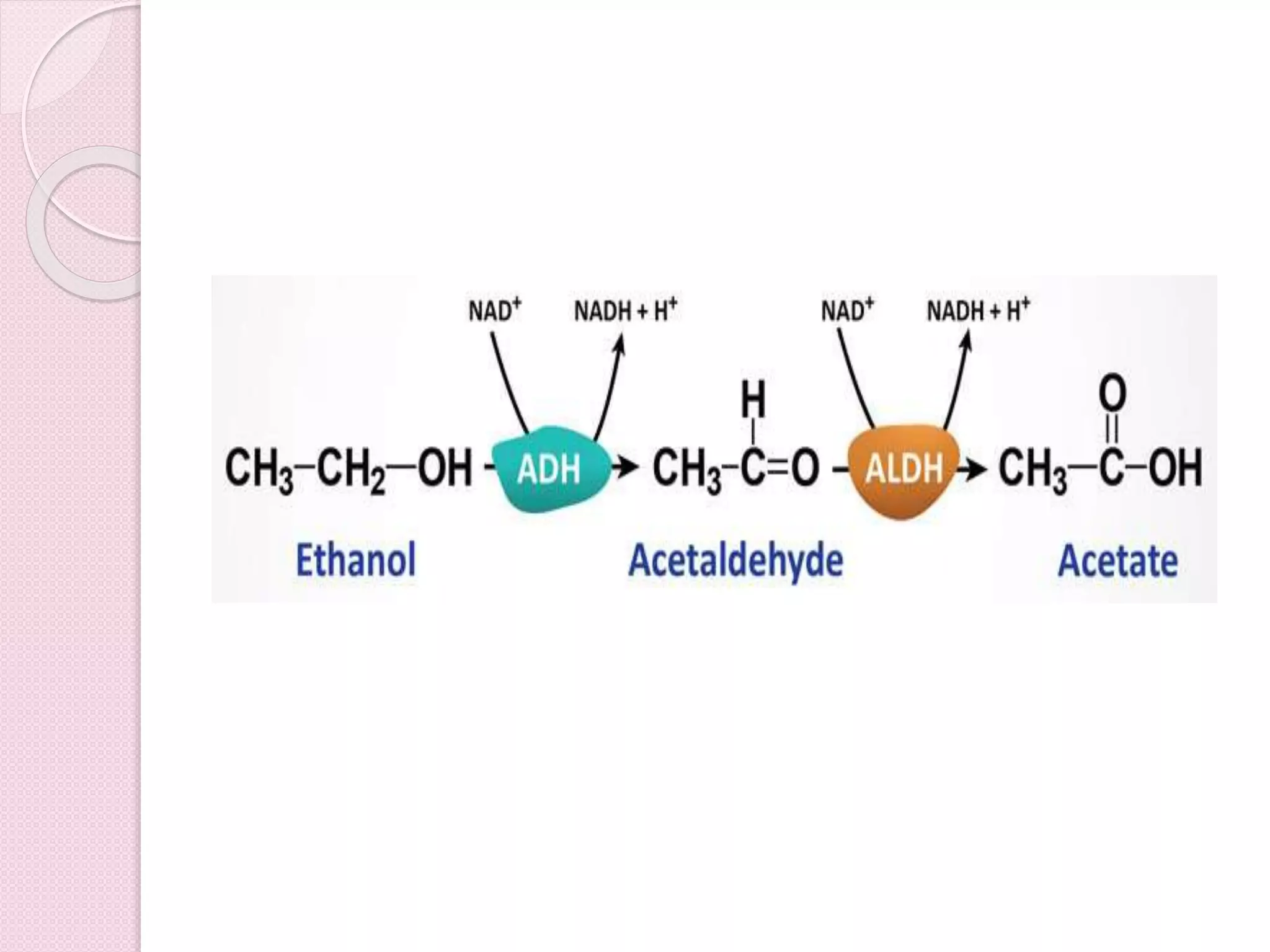 Aliphatic alcohols | PPTX