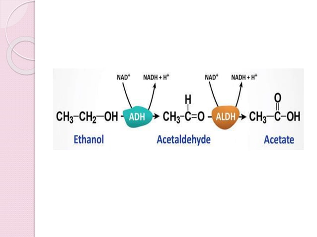 Aliphatic alcohols | PPTX