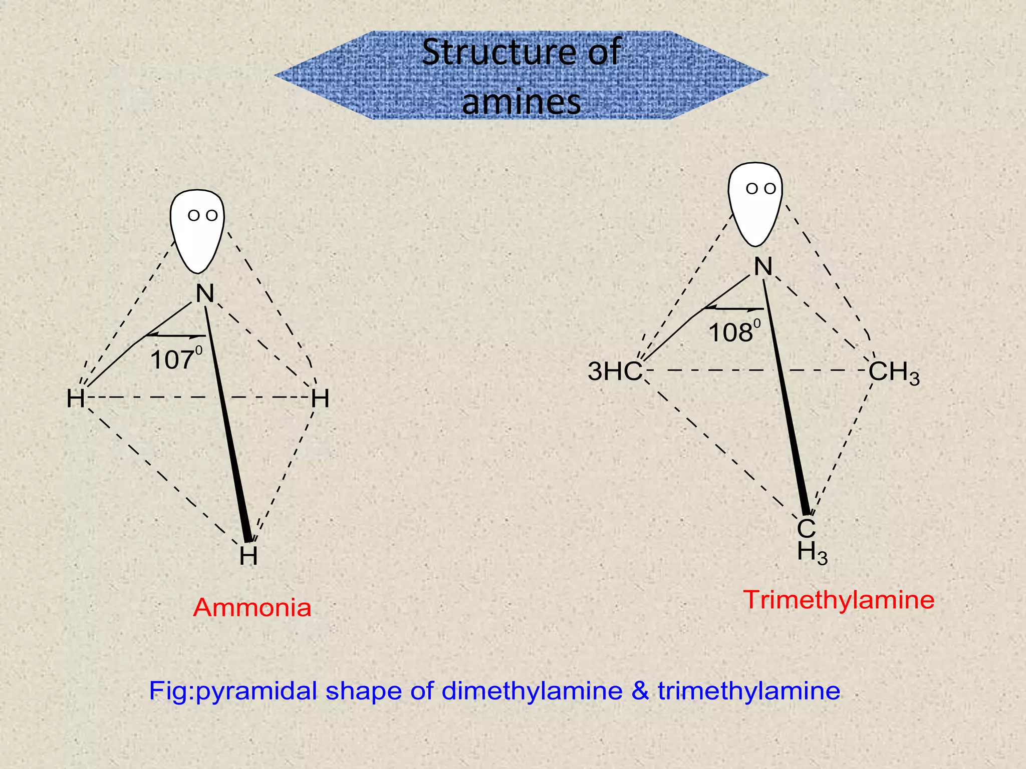 Aliphatic amines part i | PPTX