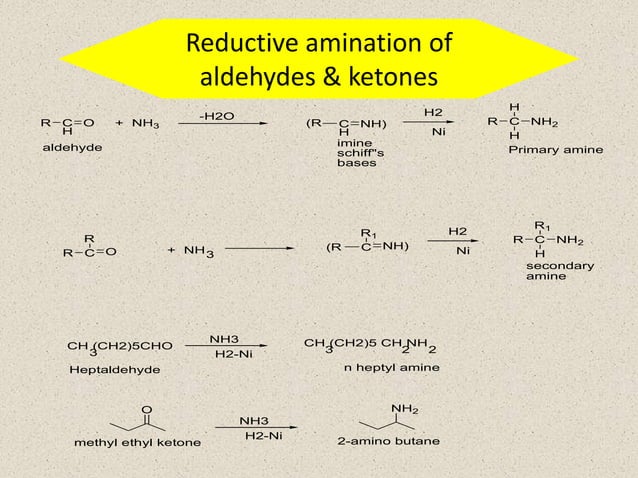 Aliphatic amines part i | PPTX | Chemistry | Science
