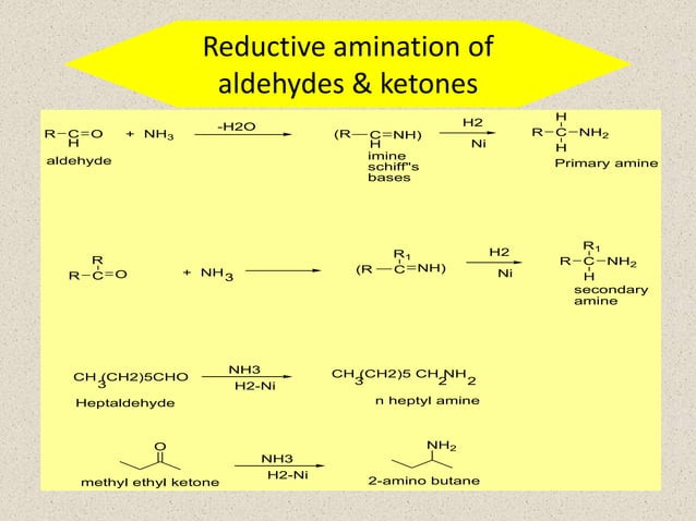 Aliphatic amines part i | PPTX
