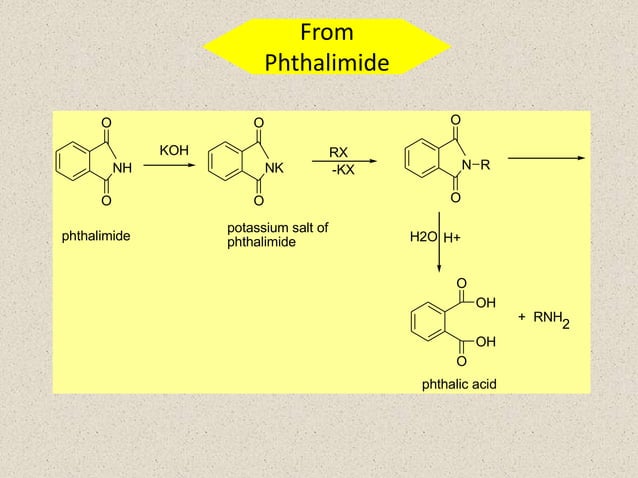 Aliphatic amines part i | PPTX