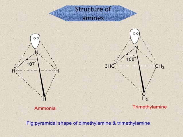 Aliphatic amines part i | PPTX