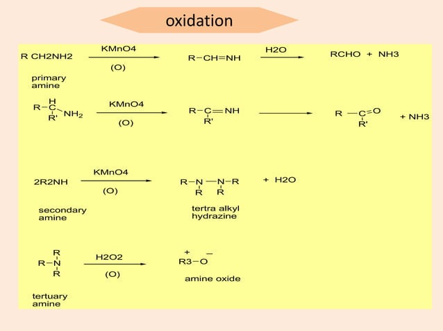 Aliphatic amines part III | PPTX