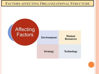 ali ppt organizational.pptx